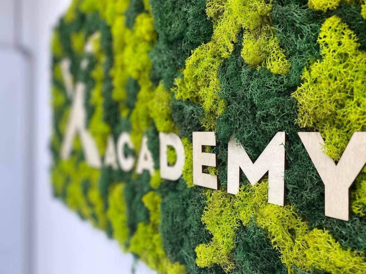 Тея Павлова от X-Academy пред Zonanews: Математиката не е страшна ...